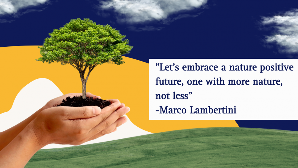 Towards a Nature-Positive world | CEMS